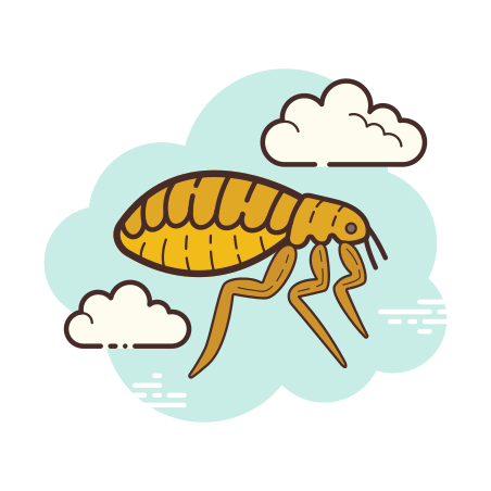 Flea icon in Cloud Style