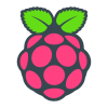 Raspberry Pi icon in Color Style
