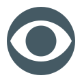 CBS icon in Color Style