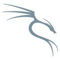 Kali Linux icon in Color Style