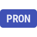 Pronoun icon in Color Style