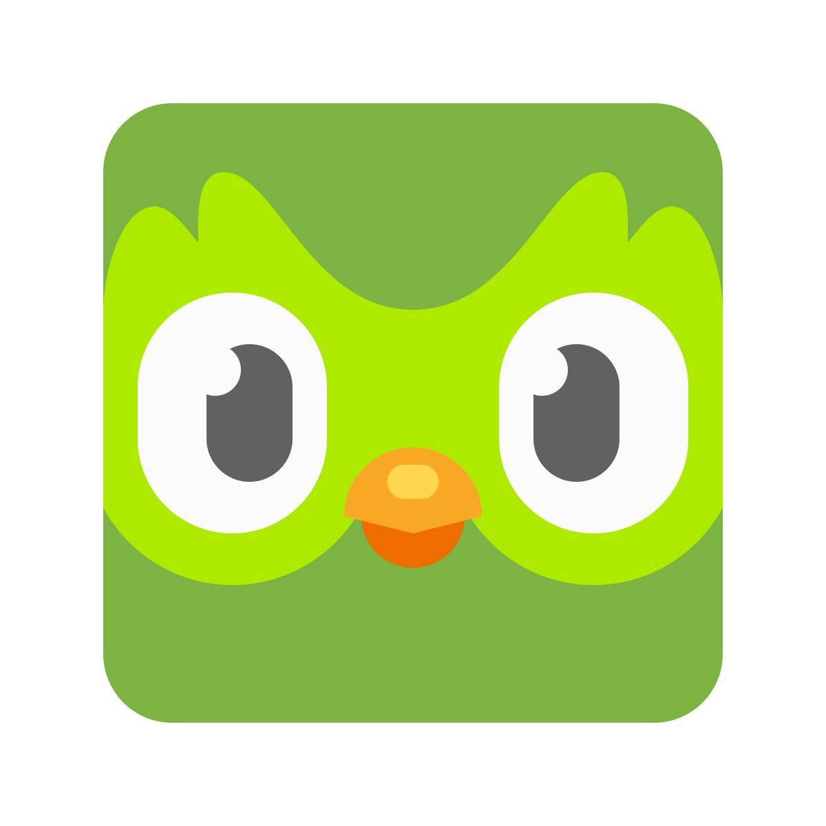 Duolingo Logo Transparent Icon In Hand Drawn Style