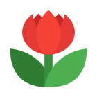 Close Up icon in Color Style