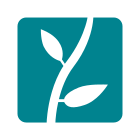 Lumion icon in Color Style