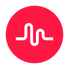 Musically icon in Color Style