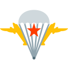 Russian VDV icon in Color Style