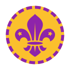 Scouting Nederland icon in Color Style