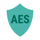 Security AES icon in Color Style