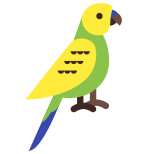Budgie icon in Color Style