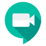 Google Meet icon in Color Style