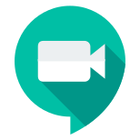 Google Meet icon in Color Style