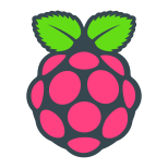 Raspberry Pi icon in Color Style
