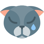 Sad Cat icon in Color Style