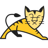 Tomcat icon in Color Style