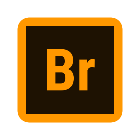 Adobe Bridge icon in Color Style