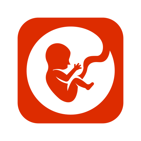 BitLife App icon in Color Style