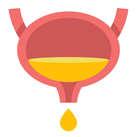 Bladder Flush icon in Color Style