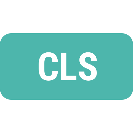CLS icon in Color Style