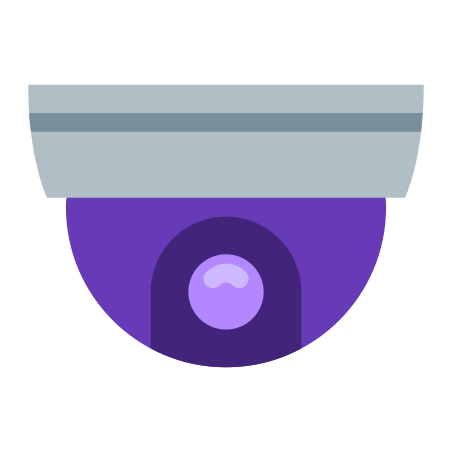 Dome Camera icon in Color Style