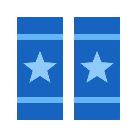 Elective icon in Color Style