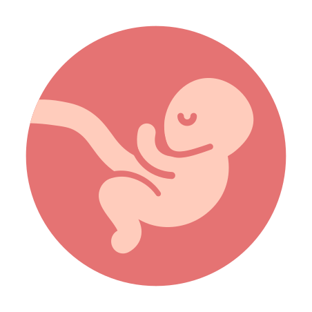 Embryo icon in Color Style