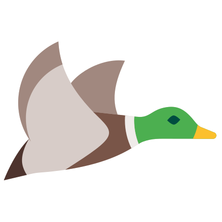 Flying Duck icon in Color Style