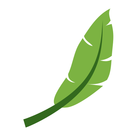 Haiku icon in Color Style