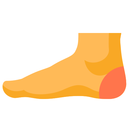 Heel Body Part icon in Color Style
