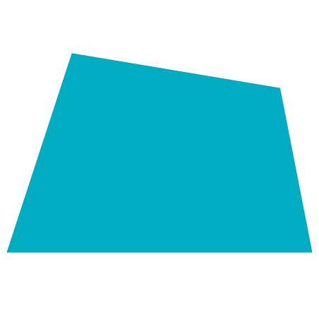 Irregular Quadrilateral icon in Color Style