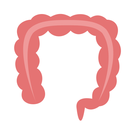 Colon icon in Color Style