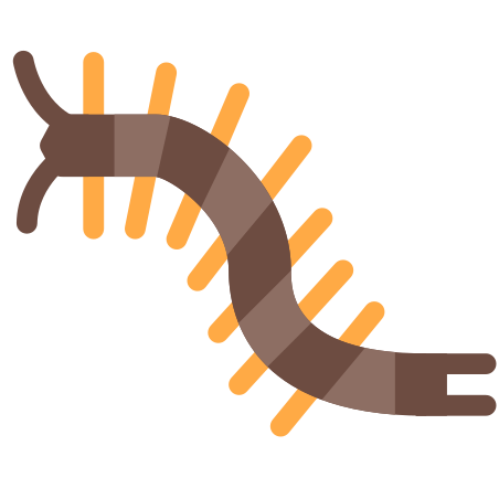 Millipede icon in Color Style