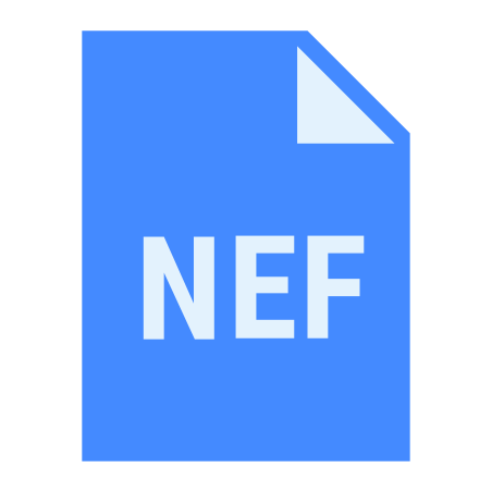 NEF icon in Color Style