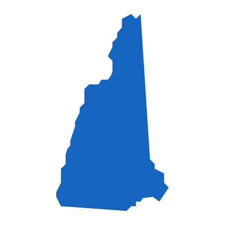 New Hampshire icon in Color Style