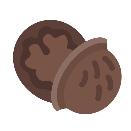 Nutshell icon in Color Style
