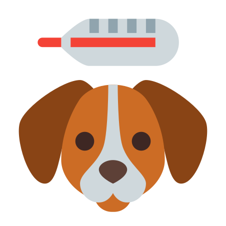 Pets Medical Examination icon in Color Style