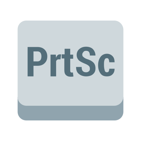 Print Screen icon in Color Style