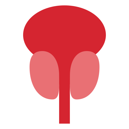 Prostate icon in Color Style