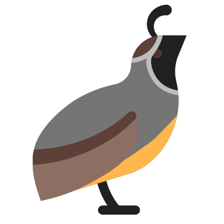 Quail icon in Color Style