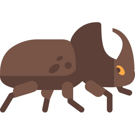 Rhinoceros Beetle icon in Color Style