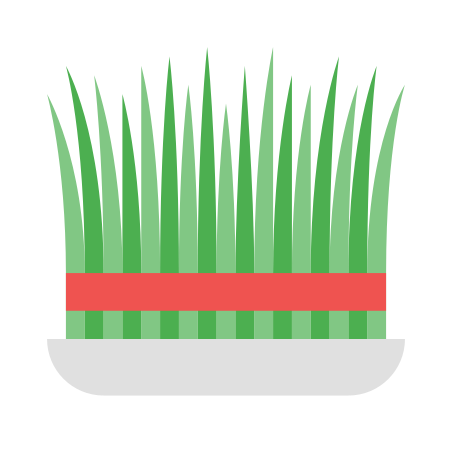 Sabzeh icon in Color Style