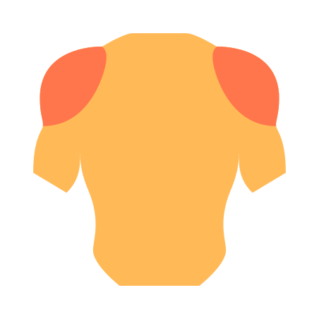 Shoulders icon in Color Style