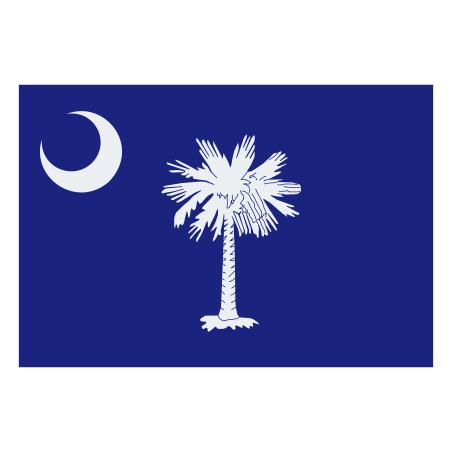 South Carolina Flag icon in Color Style