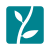 Lumion icon in Color Style