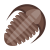 Trilobite icon in Color Style