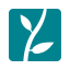 Lumion icon in Color Style