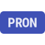Pronoun icon in Color Style