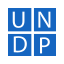 UNDP icon in Color Style