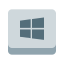 Windows Key icon in Color Style
