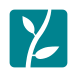 Lumion icon in Color Style