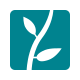 Lumion icon in Color Style
